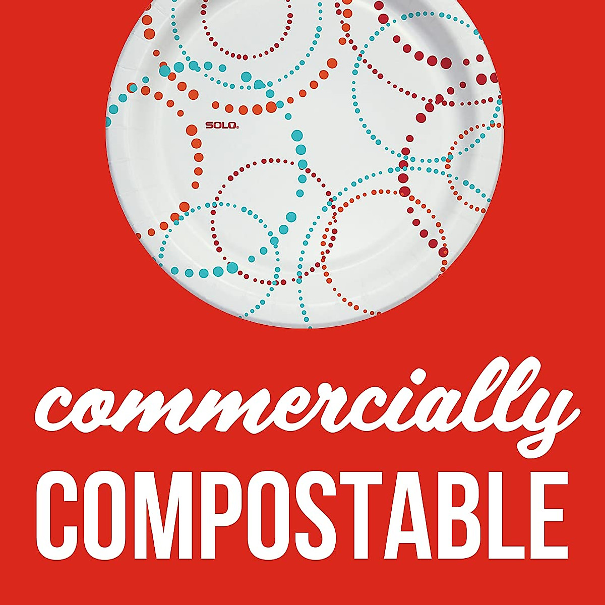 Solo Any Day Paper Plates, 8.5 Inch, 360 Count