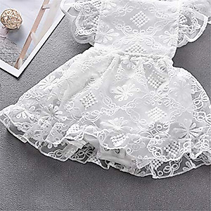 Baby Girl Lace Dress, Princess Dress Tulle White Party Wedding Summer Dress Clothes (White, 0-3Months)