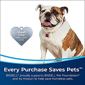 Bissell 3624 Spot Clean Professional Portable Carpet Cleaner - Corded , Black