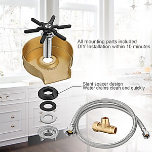 AguaStella ASR01GS Brushed Gold Metal Glass Rinser for Kitchen Sink with Cover, Kitchen Sink Cup Riner, Bar Glass Rinser, Kitchen Sink and Bar Sink Accessory