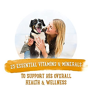 Purina Beneful High Protein Wet Dog Food With Gravy, Prepared Meals Chicken Stew - (8) 10 oz. Tubs