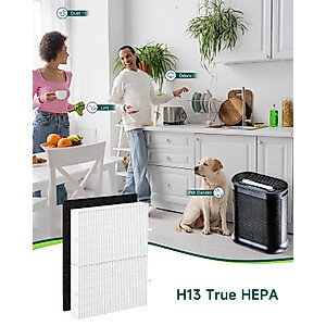 HPA200 Replacement Filter R Compatible with Honeywell Air Purifier 200 Series, 2 H13 True HEPA Filters with 4 Pre-Cut Carbon Filters, Part# HRF-ARVP200