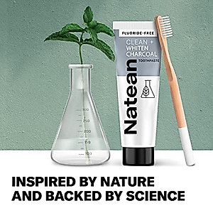 Natean Clean + Whiten Charcoal Toothpaste, Fluoride Free, Clean Mint - 4.7 Oz Tube