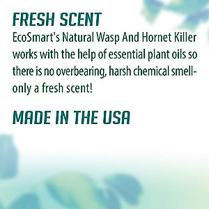 ecoSMART 33510 Wasp & Hornet Killer, 9-oz. - Quantity 1