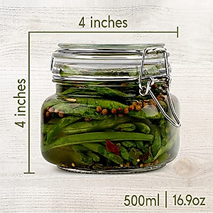 Glass Jars with Airtight Lid | Glass Airtight Food Storage Containers | Clear Leak Proof Rubber Gasket and Clamp Lid [17 oz.]