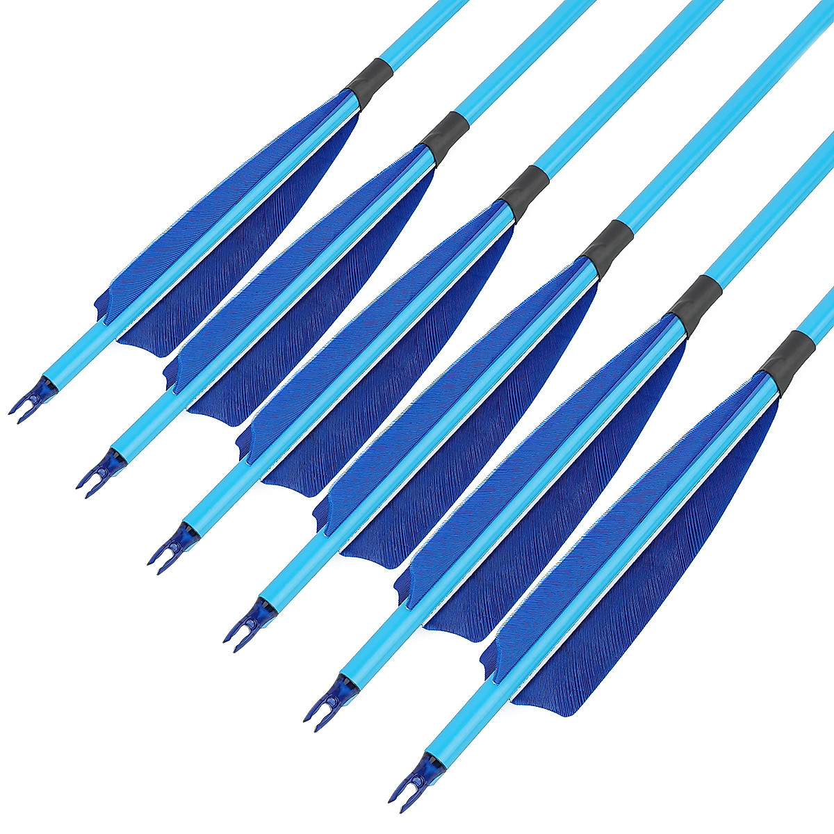 AMEYXGS 12Pcs Archery 30Inch Carbon Arrow Target Practice Hunting Arrow Spine 500 with 5inch Shield Turkey Feather Removable Tips for Traditional Recurve Compound Bow Longbow (Blue, 12)