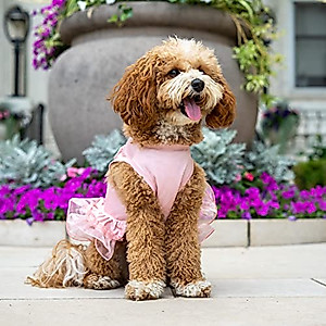 Christian Siriano New York Pink Tiered Bow Dress for Dogs, XS