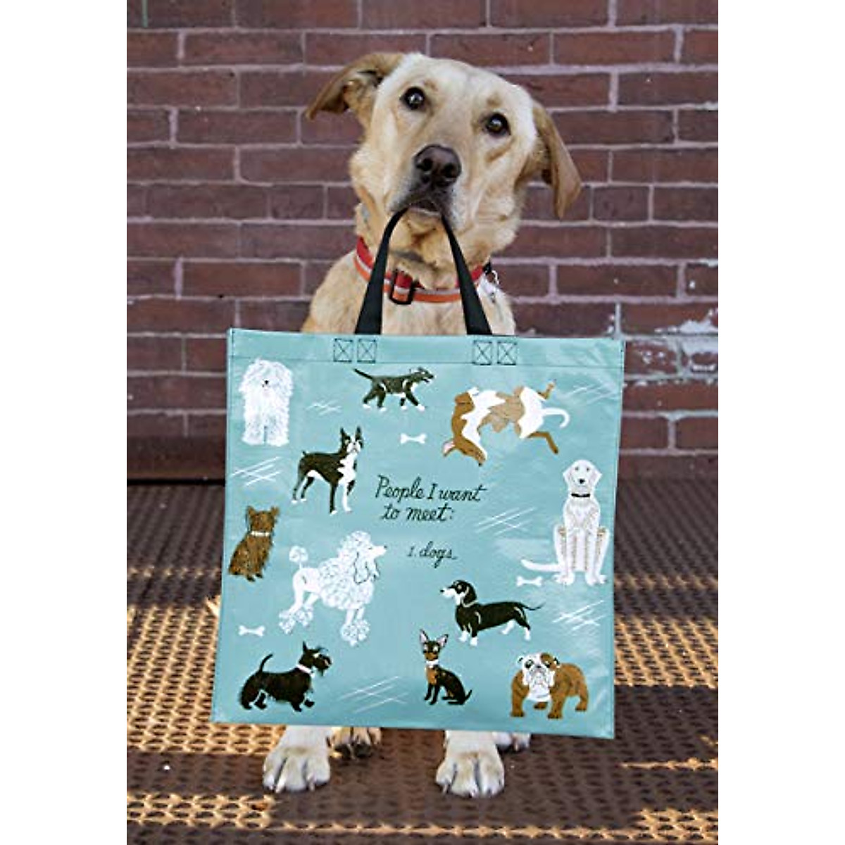 Blue Q Shopper ~ People I Want to Meet: Dogs. Reusable grocery bag, sturdy, easy-to-clean, perfect for dog lovers, 15"h x 16"w x 6"d, made From 95% recycled material.