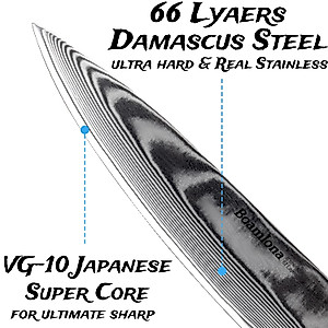 BOAMLONA 8 inch Chef Knife, Damascus Japanese Chef Knife with Japanese VG10 Steel Core, Pakkawood Handle, Ultra Sharp Professional Kitchen Knife with Sheath and Gift Box