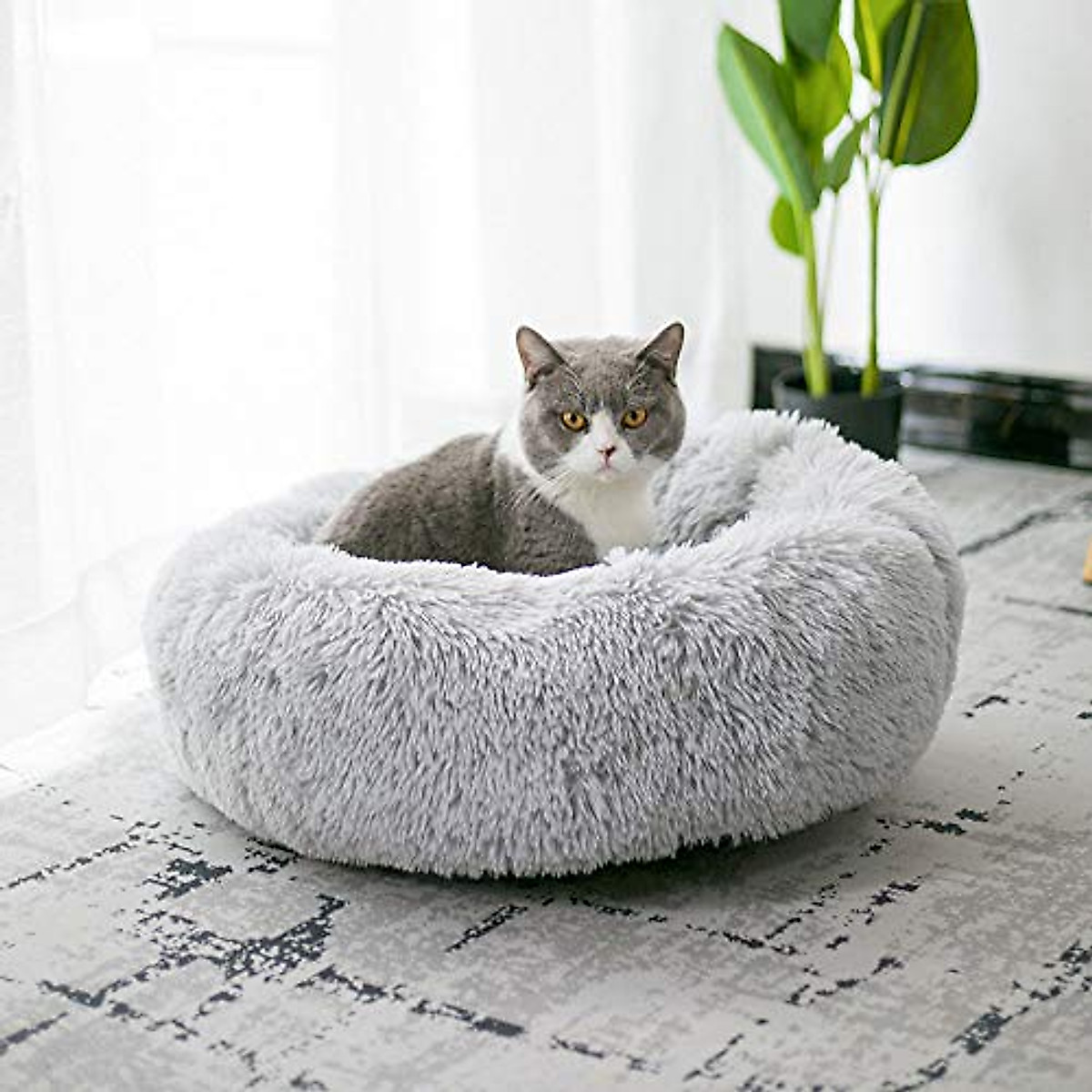 BODISEINT Modern Soft Plush Round Pet Bed for Cats or Small Dogs, Mini Medium Sized Dog Cat Bed Self Warming Autumn Winter Indoor Snooze Sleeping Cozy Kitty Teddy Kennel (24'' D x 8'' H, Light Grey)