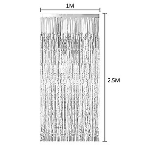 Zealor 8 Pack Foil Curtains Metallic Fringe Curtains Shimmer Curtain for Birthday Wedding Party Christmas Decorations (Silver)