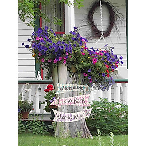 Alice in Wonderland Party Decorations, Mad Hatter Tea Party Supplies, Arrow Hanging Signs Pack of 10(Double-Sided Design)