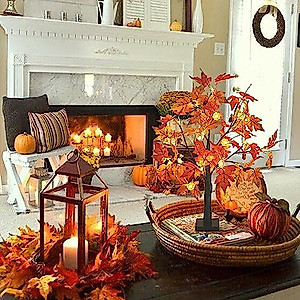 HUAESIN 2 Pack 24'' Prelit Lighted Maple Tree Thanksgiving Decor Fall Tree 48 LEDs Battery Operated Lighted Pumpkins Artificial Autumn Fall Tabletop Tree for Halloween Fall Harvest Home Indoor Decor