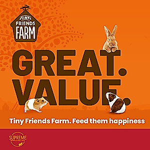 Supreme Gerty Scrummies Apple Strawberry Healthy Baked Bites For Guinea Pig 4.2Z