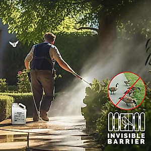 Bird Repellent, Bird Stop