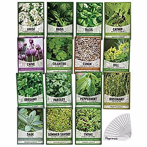 15 Herb Seeds For Planting Varieties Heirloom Non-GMO 5200+ Seeds Indoors, Hydroponics, Outdoors - Basil, Catnip, Chive, Cilantro, Oregano, Parsley, Peppermint, Rosemary and More By Gardeners Basics