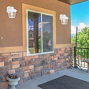 FUDESY Outdoor Wall Lantern, Exterior Waterproof Porch Light, Plastic Material Wall Sconce Light Fixture for Front Door, Garage, Patio, White, FDS746E26W (Bulb Included)