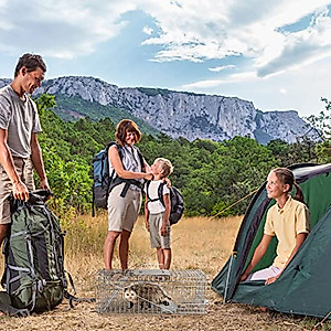 Moclever Humane Rat Trap Cage Catch Release Live Rat Traps Live Traps for Rat Live Animal Rodent Cage Collapsible Galvanized Wire for Small Raccoons Beavers Groundhogs Foxes Armadillos-23.3X7.7X7.2In