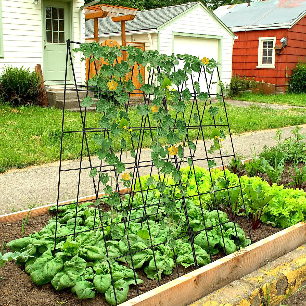 UrGROWA Cucumber Trellis 2 Pack, Foldable A-Frame Garden Trellis for Raised Bed Garden Grow Support with Plant Support Clips, Twist Ties, Plastic Ties, for Cucumber,Tomato, Climbing Plants and Flowers