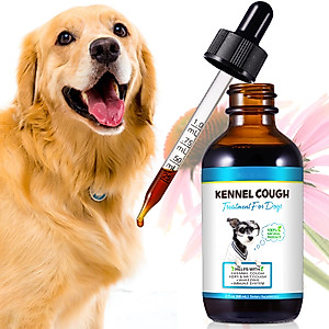 Kennel Cough for Dogs, 60Ml Kennel Dog Cough Treatment, Effective Relieving Dogs Cough Symptoms, Kennel Cough Medicine for Dogs Herbal Drops for All Breeds & Sizes, Supplement for Dogs Itch