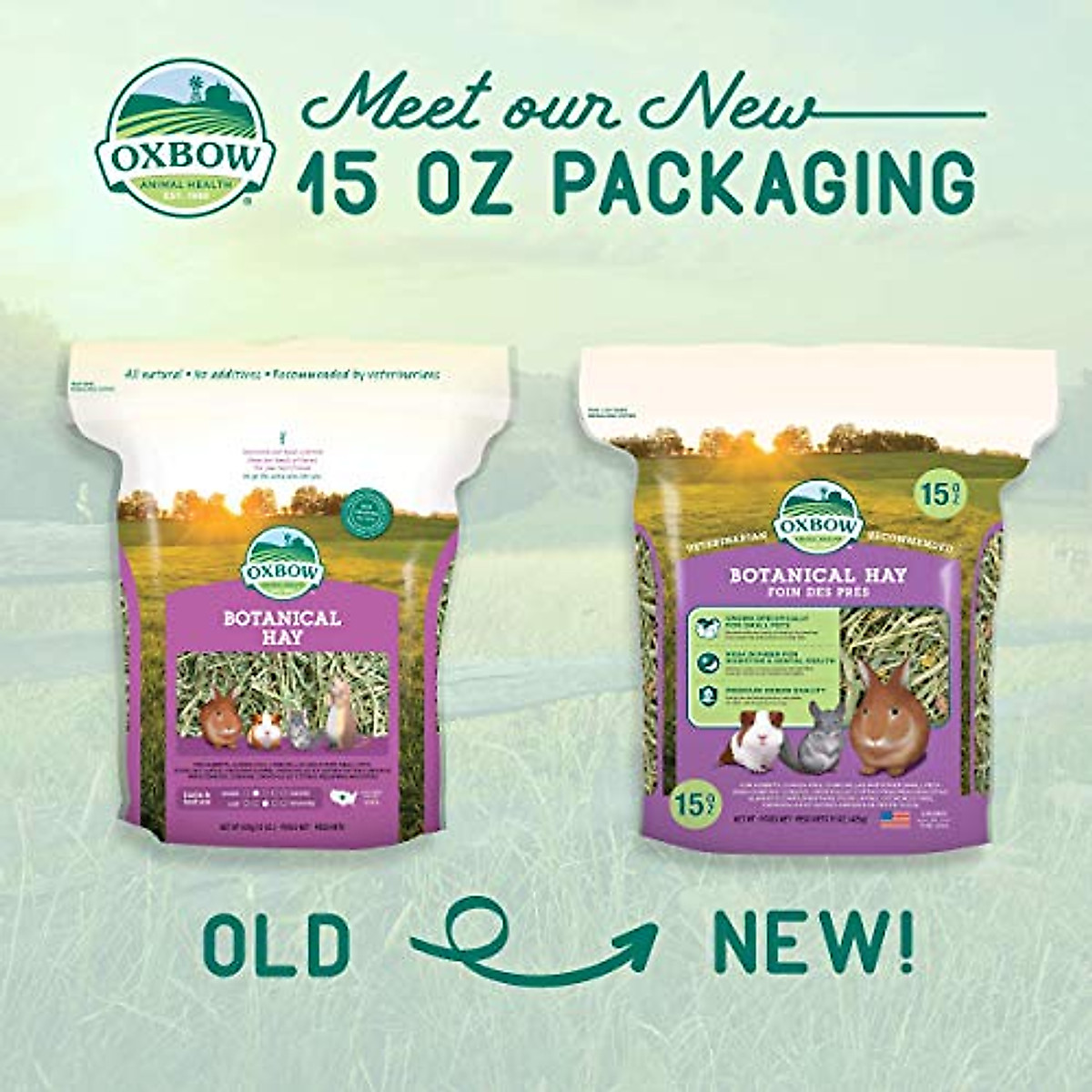 Oxbow Animal Health Oxbow Botanical Western Timothy Hay - All Natural Hay for Rabbits, Guinea Pigs, Chinchillas, Hamsters & Gerbils - 15 oz.