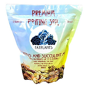Fat Plants San Diego Premium Cacti and Succulent Potting Mix Soil - for Cactus Palm Tree Citrus Plant Grown in Gardening Containers - Indoors & Outdoors Use - with Natural Food/Fertilizer