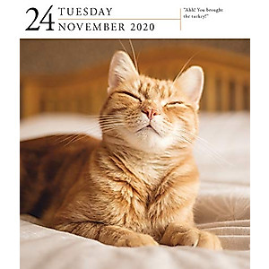 Cat Page-A-Day Gallery Calendar 2020