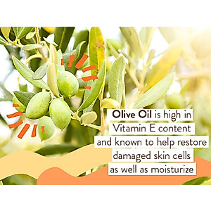 Babo Botanicals Sensitive Baby Fragrance-Free Diaper Rash Cream Spray - with Non-Nano Zinc Oxide, Organic Shea Butter, Olive Oil & Aloe Vera - EWG Verified & Hypoallergenic - 3 fl. oz., White