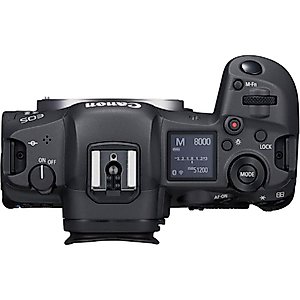 Canon EOS R5 Mirrorless Digital Camera with 24-105mm f/4L Lens (4147C013) + 64GB Memory Card + Case + Corel Photo Software + 2 x LPE6 Battery + External Charger + Card Reader + Light + More (Renewed)