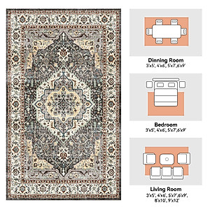 8x10 Washable Area Rugs, Boho Rug with Non-Slip Backing Non Shedding Rugs for Living Room Bedroom Kitchen Entryway Distressed Vintage Low Pile Rug (8 x 10 Brown Multi)