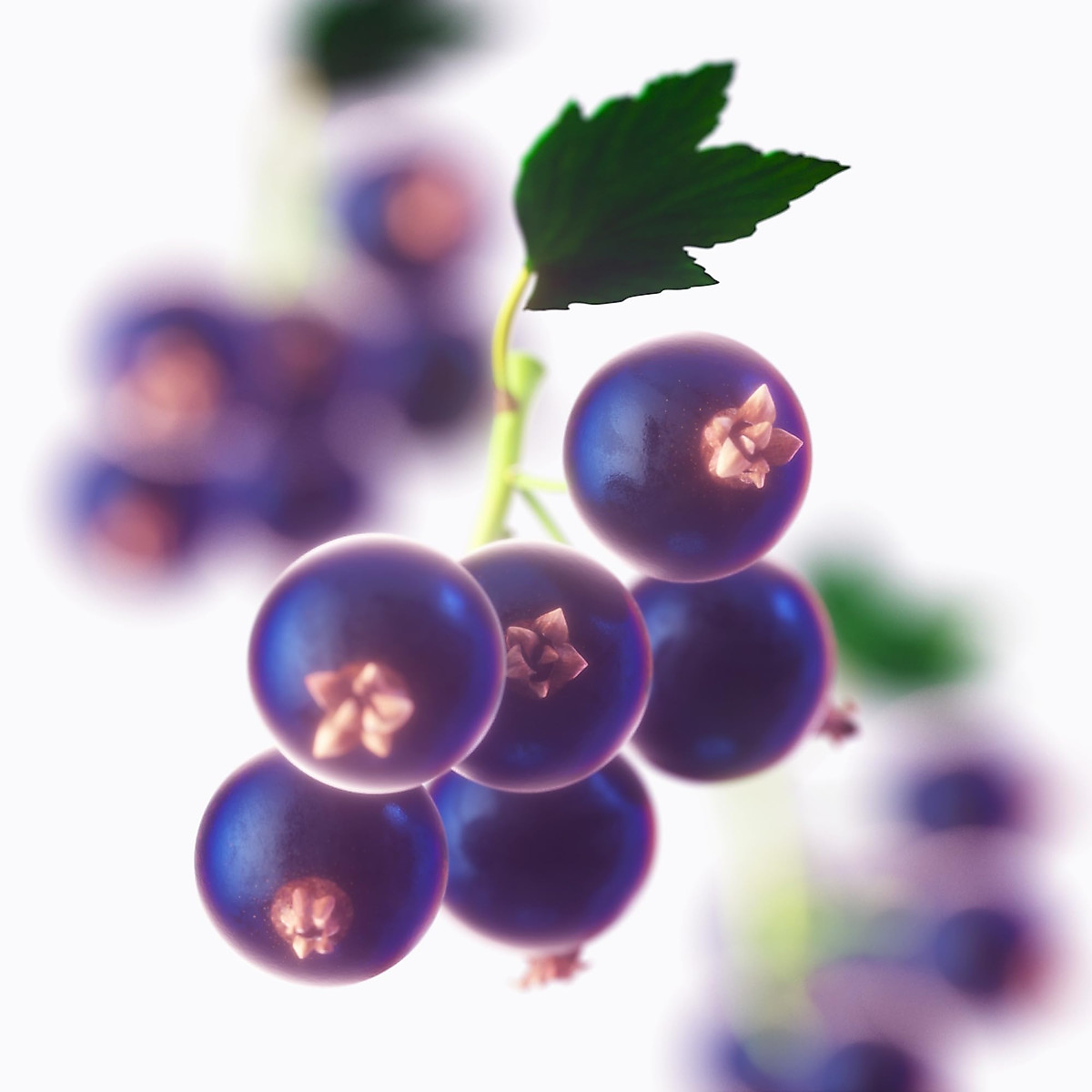 Tommy Hilfiger Tommy Now Girl EDT Spray Women 3.4 oz