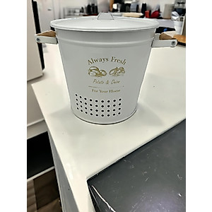 Metal Storage Bin, Onion Storage and Patato Storage, Vegetable Storage Bin with Aerating Tin Storage Holes, Metal Kitchen Storage, Kitchen Pantry Organizer Tin Vegetable Fresh Keeper (White-Wood)