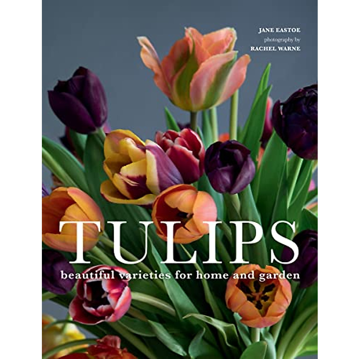 Tulips: Beautiful Varieties for Home and Garden