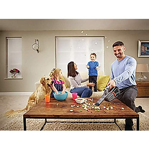 BLACK+DECKER Dusbuster Handheld Vacuum, Cordless, Gray (HHVK415B01)