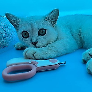 Small Animals Nail Clippers with LED Lights to Avoid Excessive Cutting and Razor Sharp Blades - Professional Claw Trimmer for Tiny Dog Cat Kitten Bunny Rabbit Bird Guinea Pigs Ferret Hamsters (Blue)