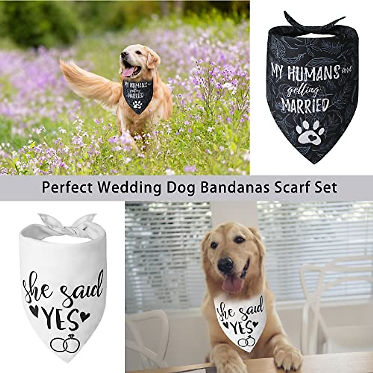 Dog Engagement Announcement, Will You Marry My Daddy Dog Bandana, Dog of Honor Bandana Wedding, Wedding Engagement Photos Pet Scarf Accessories for Small Medium Large Dog (White+Black)