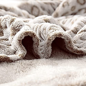 HOMEIDEAS Fleece Flannel Printed Blanket Twin Size, 61X80 Inches Soft Lightweight Microfiber Throw Blanket for Couch/Sofa/Bed for All Season,Brown Leopard/Cheetah