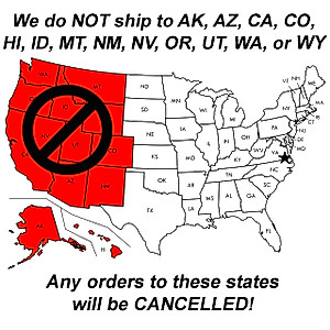 Blooming & Beautiful - Porcupine Maiden Grass - Ornamental Grass - Stiff Spikey Green Quill-Like Foliage - Horizontal Golden Stripes - Zones 4-9 - Miscanthus sinensis 'Strictus' - 3 Gallon Pot