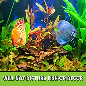 Python No Spill Clean and Fill Aquarium Maintenance System, Complete Ready-to-Use Gravel Cleaner and Water Changer for Fish Tanks, 50 Foot