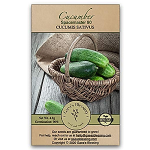 Gaea's Blessing Seeds - Spacemaster Cucumber Seeds (2.0g) Non-GMO Seeds with Easy to Follow Planting Instructions - Heirloom 90% Germination Rate
