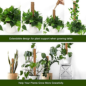 HongWay 77 Inch Moss Pole for Plant Monstera, 6 Pack 17 Inch Moss Plant Support, Monstera Support, Plant Climbing Pole, Moss Plant Stake