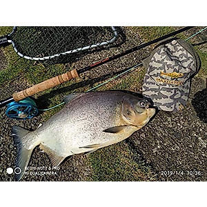 Maxcatch Two-Handed Switch & Spey Fly rods Fast Action Fly Fishing Rod with Rod Tube (Skytouch Trout Spey, 11034)