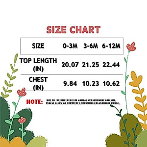 Fairy Sassy Newborn Baby Girl Bodysuit Infant Letter Flower Print Jumpsuit Coming Home Clothes Outfit ( 0-3 Months,Yellow )