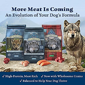 Blue Buffalo Wilderness Rocky Mountain Recipe High Protein, Natural Senior Dry Dog Food, Red Meat 22-lb