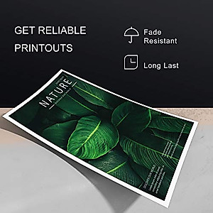 HIPAGE 302XL Remanufactured Ink Cartridge Replacement for Epson 302XL 302 XL T302XL High Yield for Expression Premium XP-6000 XP-6100 (Black, Photo Black, Cyan, Magenta, Yellow, 5-Pack)