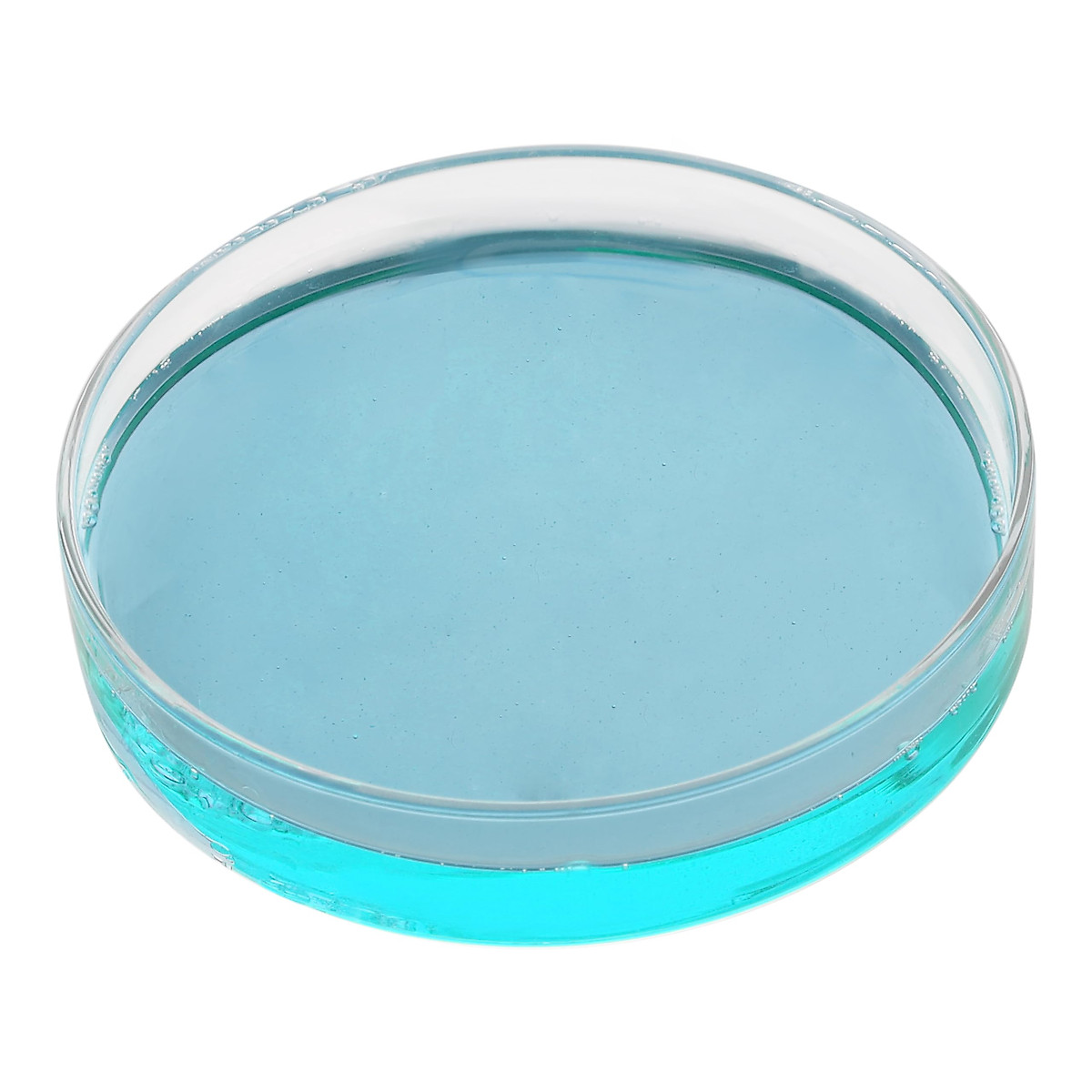 EISCO Petri Dish, 3.93" (100mm) - Beaded Edges Easy to Sterilize for Repeated Use Borosilicate Glass- Eisco Labs