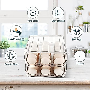 MesRosa Egg Holder , Automatically Rolling Egg Storage Container for Refrigerator,Large Capacity Organizer for Fridge with Lid,Clear Plastic Egg Dispenser, Tray & Bin -2 Layer
