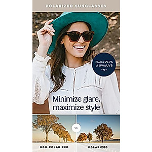 Peepers by PeeperSpecs Women's Pisa Cat Eye Polarized, No Correction Sunglasses, Teal Horn, 54 + 0