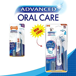 Nylabone Advanced Oral Care Senior Dog Dental Kit Small Dog