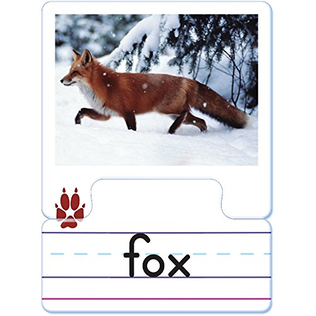 Key Education Big Box of Easy-To-Read Words Puzzles, Sight Words and Phonics Practice With Word and Photo Puzzle Pieces, Educational Games for Special Learners Ages 5+ (250 pc) , 1.5" x 2" - 2" x 2"